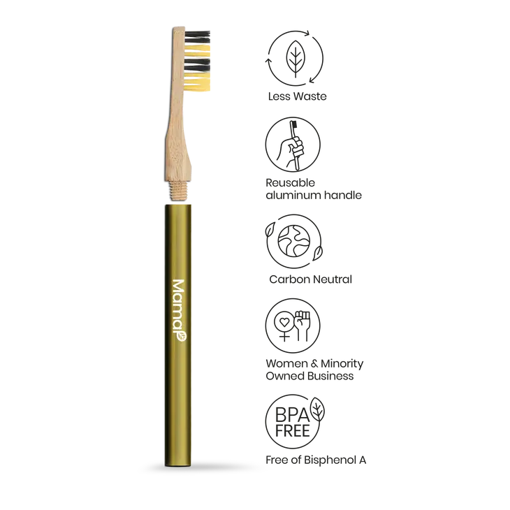 Aluminum Toothbrush + 1 Replacement Head Buffalo New York – Little Salmon